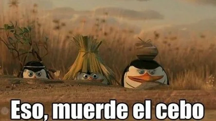 Memes De Jujuy
