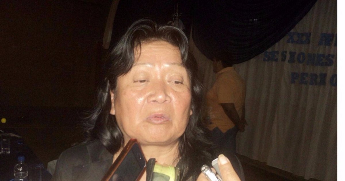 Elsa Flores anunció obras