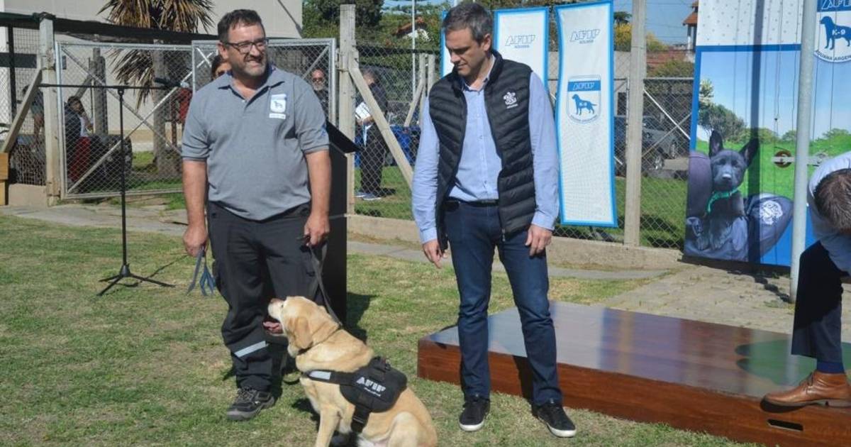 En el Día del Animal, Aduana jubiló a 14 perros detectores