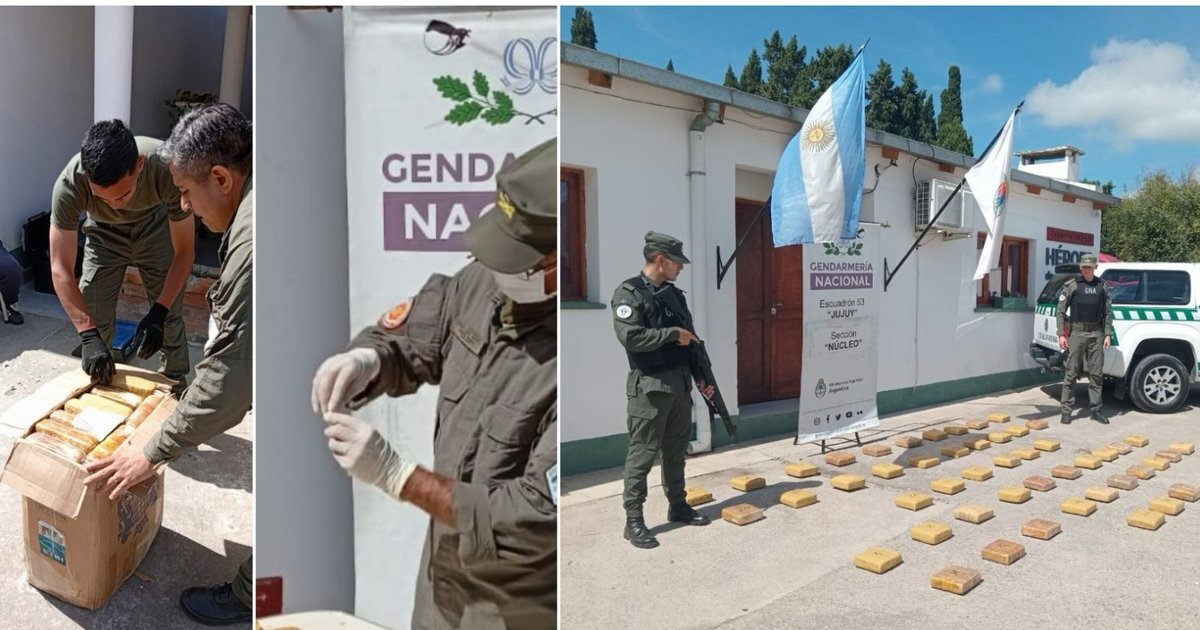 Incautan 53 kilos de marihuana en encomiendas
