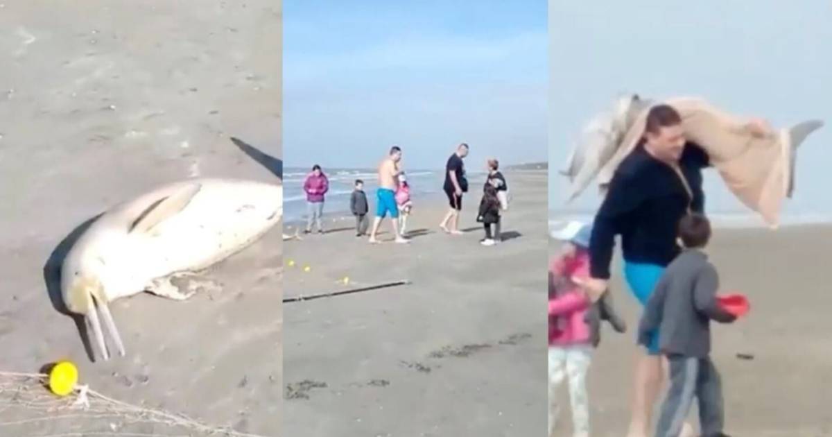 Un hombre pescó un delfín en peligro de extinción y se lo llevó