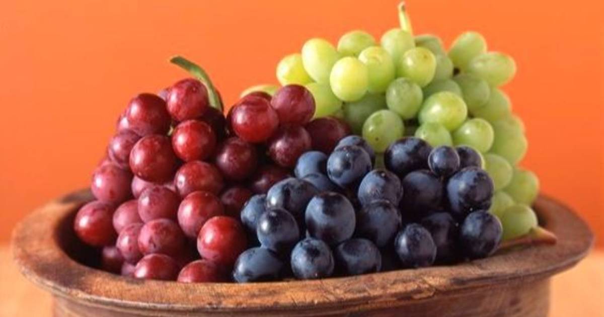 Uno por uno: conocé los innumerables beneficios de consumir uvas