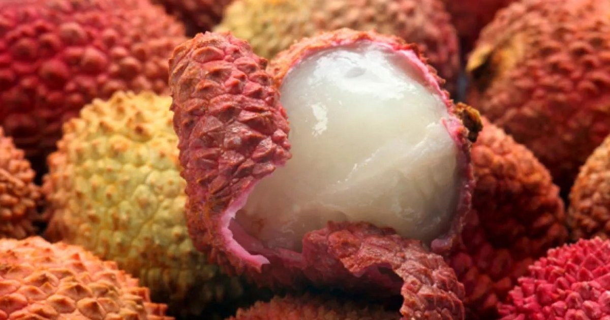 El Lichi: ¿qué beneficios tiene y cómo consumirlo?