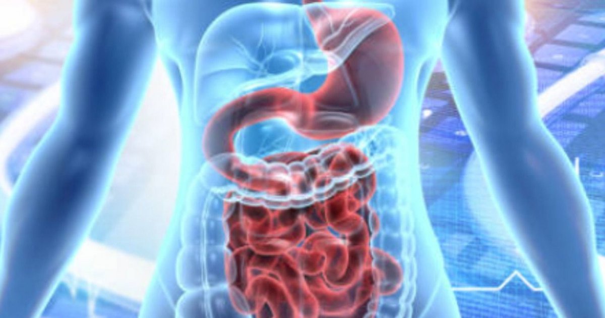 ¿Qué es y cómo se trata una obstrucción intestinal?