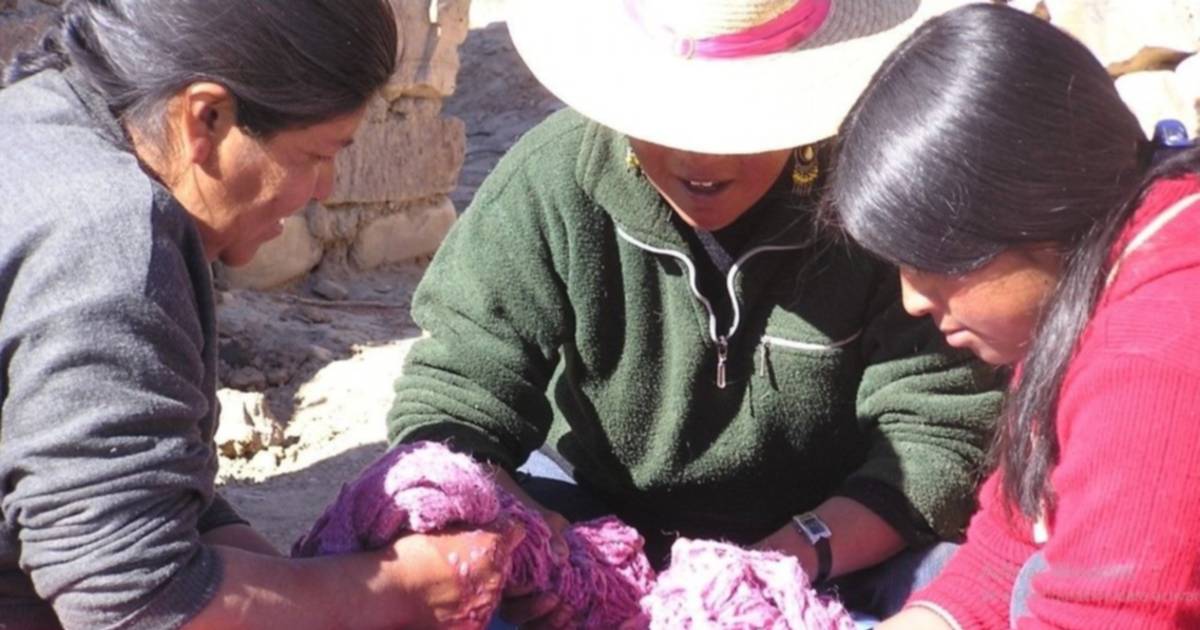 La Red Puna llega hoy al Centro Borges