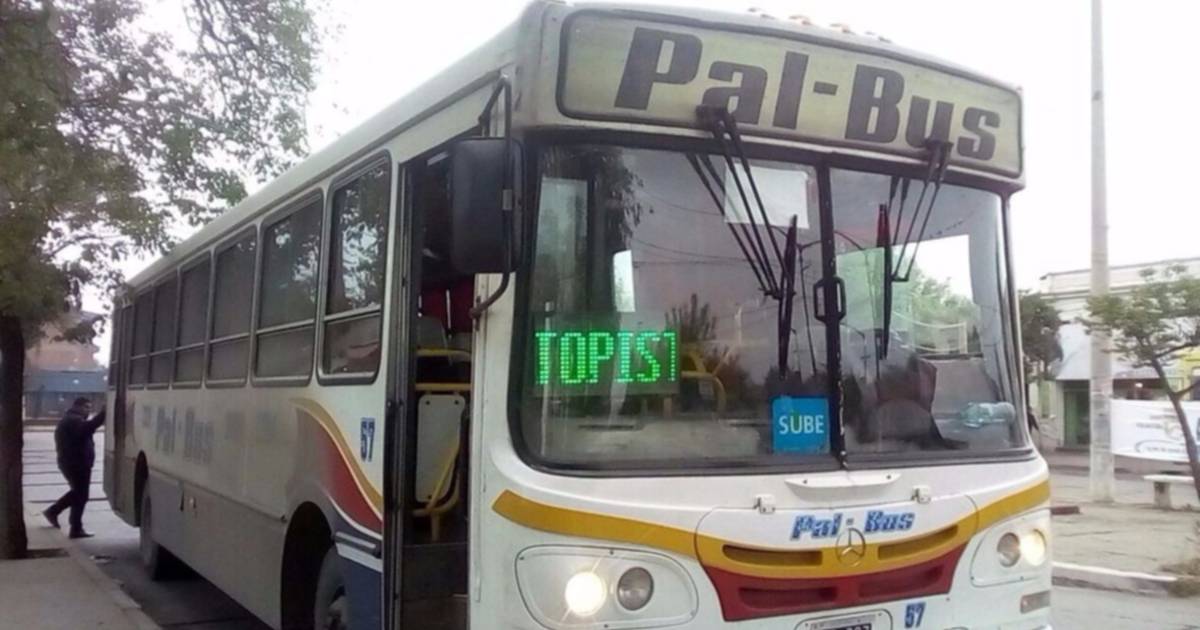 Cubren servicio que brindaba empresa Pal Bus