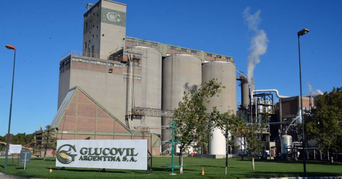 Tras salir de Glucovil, Ledesma refuerza sus inversiones en Jujuy