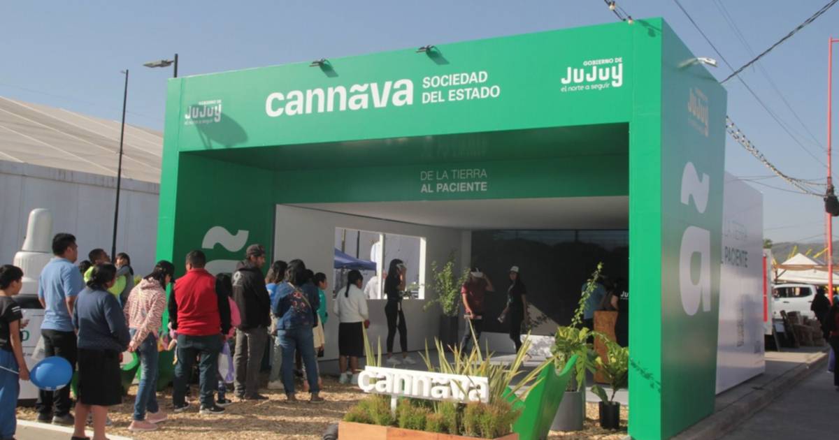 Cannava invita a conocer su proceso de producción