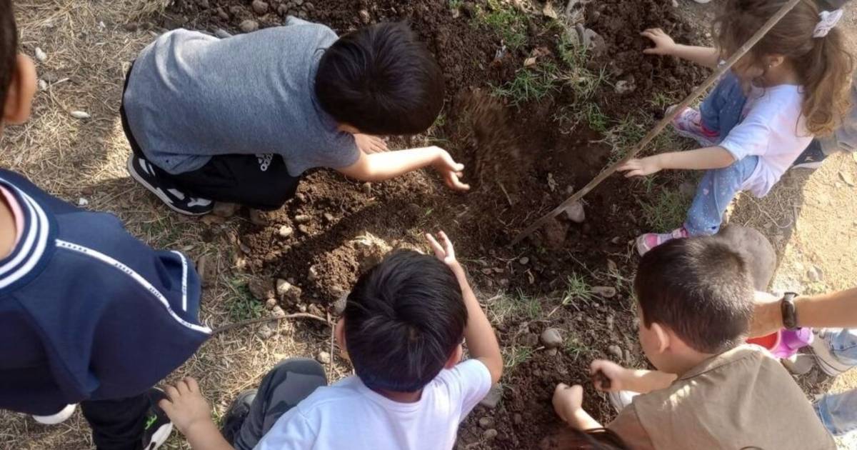 “Un árbol para mi escuela” llegó al CDI “Pof. Mary Ferrin”