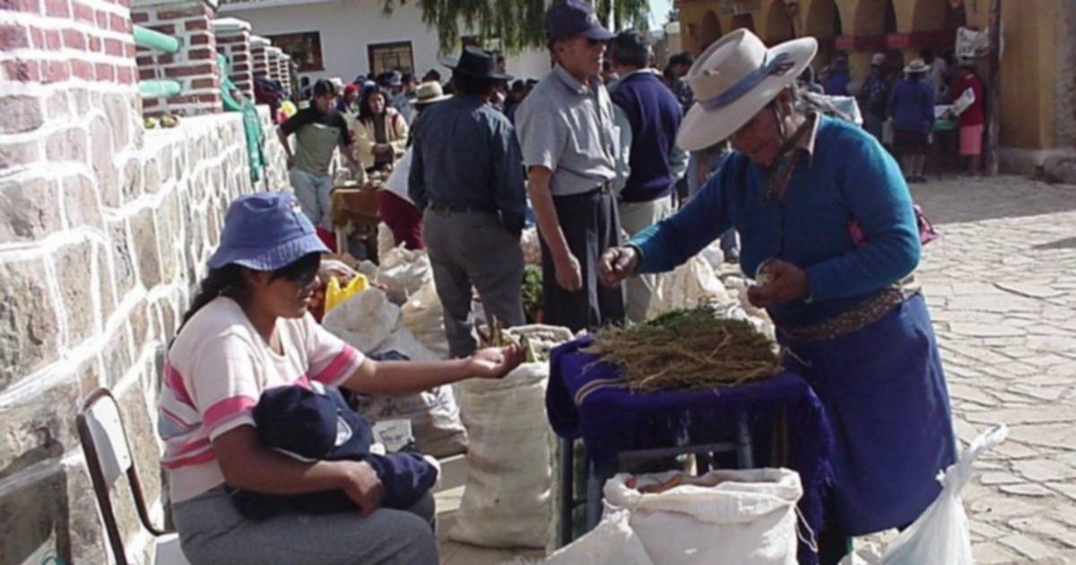 La Red Puna festejará veinte años de vida