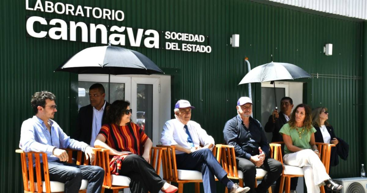 Cannava CBD10 se podrá comercializar en todo el país