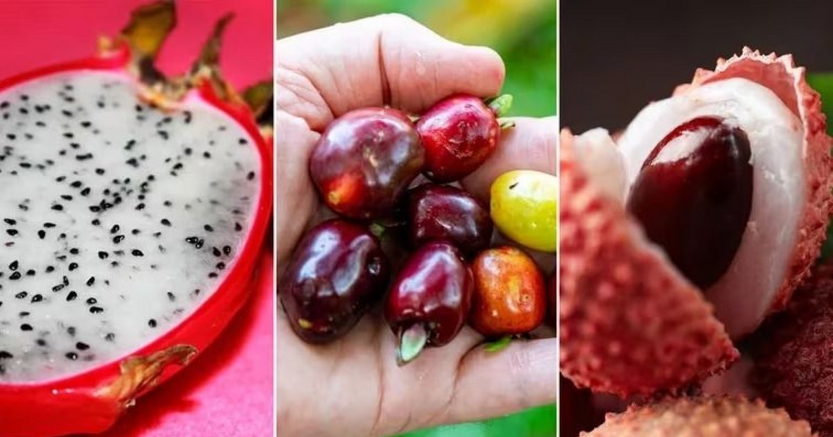 Tres frutas poco conocidas con increíbles beneficios para la salud